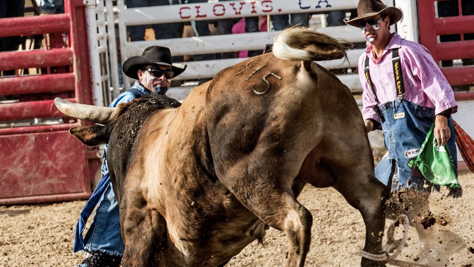 ¿De dónde viene la frase ‘ya me cargó el payaso’? - AMENA PUBLICIDAD Y ...