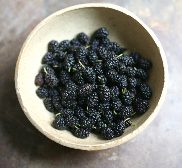 Mulberry Galette Tart Recipe | 17 Apart