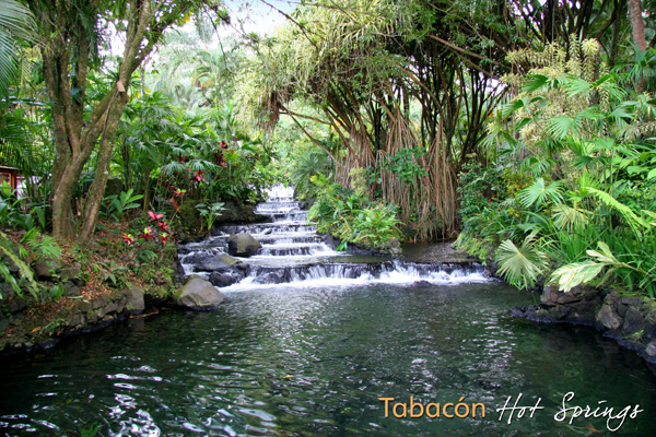 Nessy Designs: Tabacón Hot Springs
