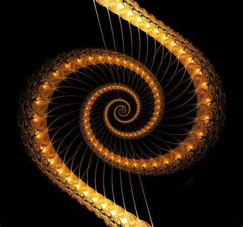 SACRED FOX TRANSITIONS