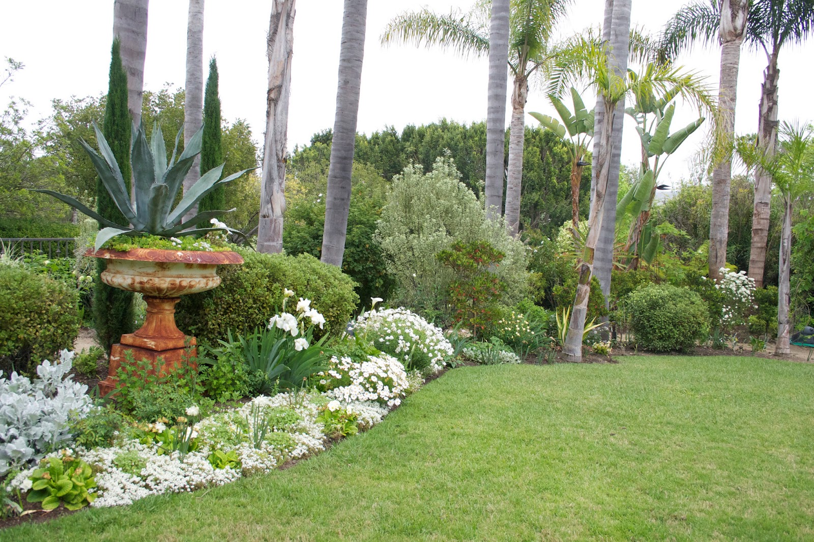 The Gardens of Petersonville: An Update on the Moonlight Garden