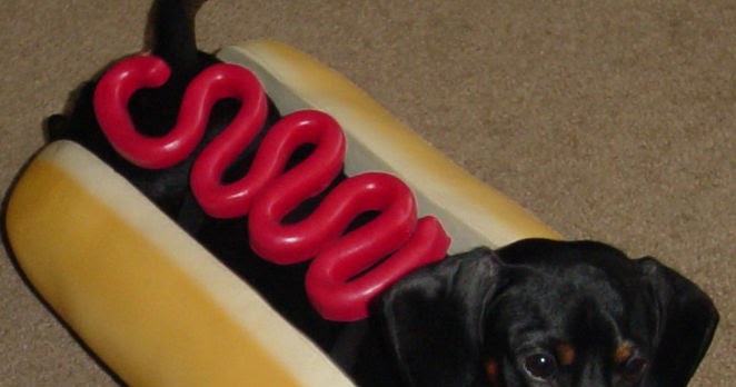 H c M: LA HISTORIA DE LOS PERRITOS CALIENTES