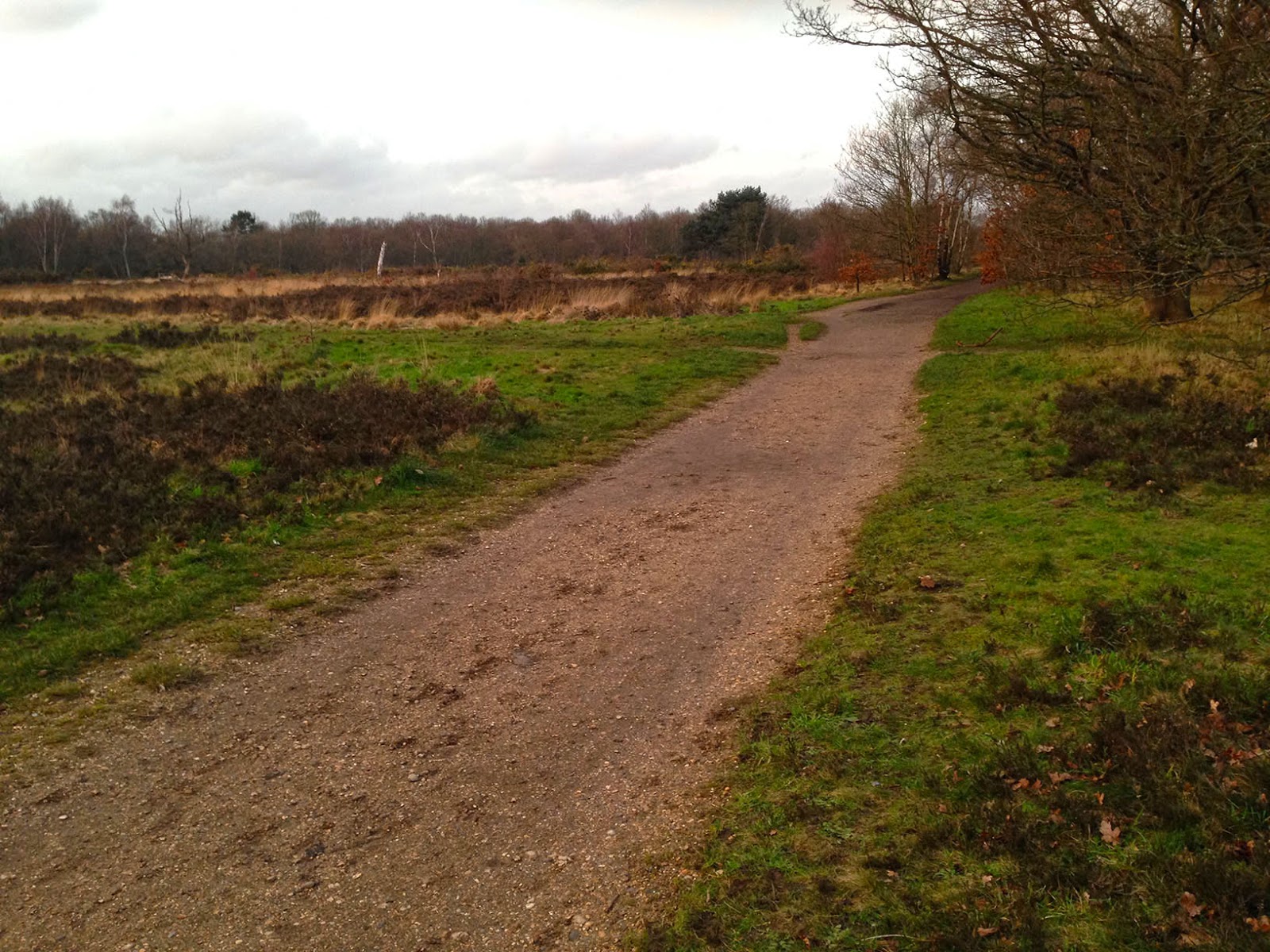 Running Routes: London Wimbledon Common Running Route