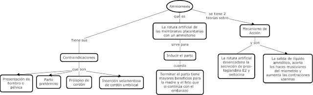Portafolio de ginecología y obstetricia: Amniorrexis