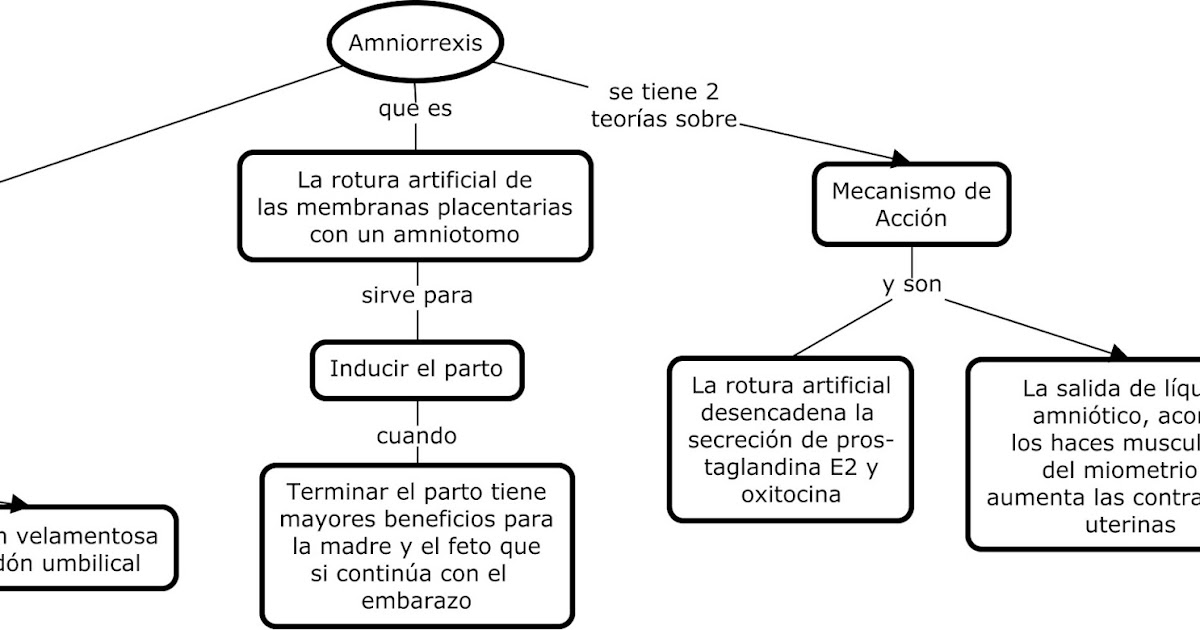 Portafolio de ginecología y obstetricia: Amniorrexis