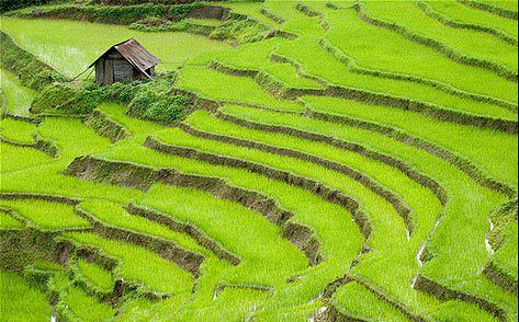 Paradise Northeast: Manipur