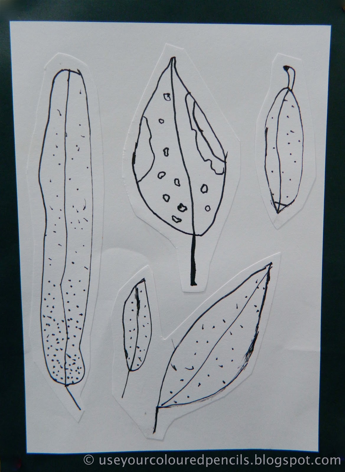 Use Your Coloured Pencils: Leaf Drawings