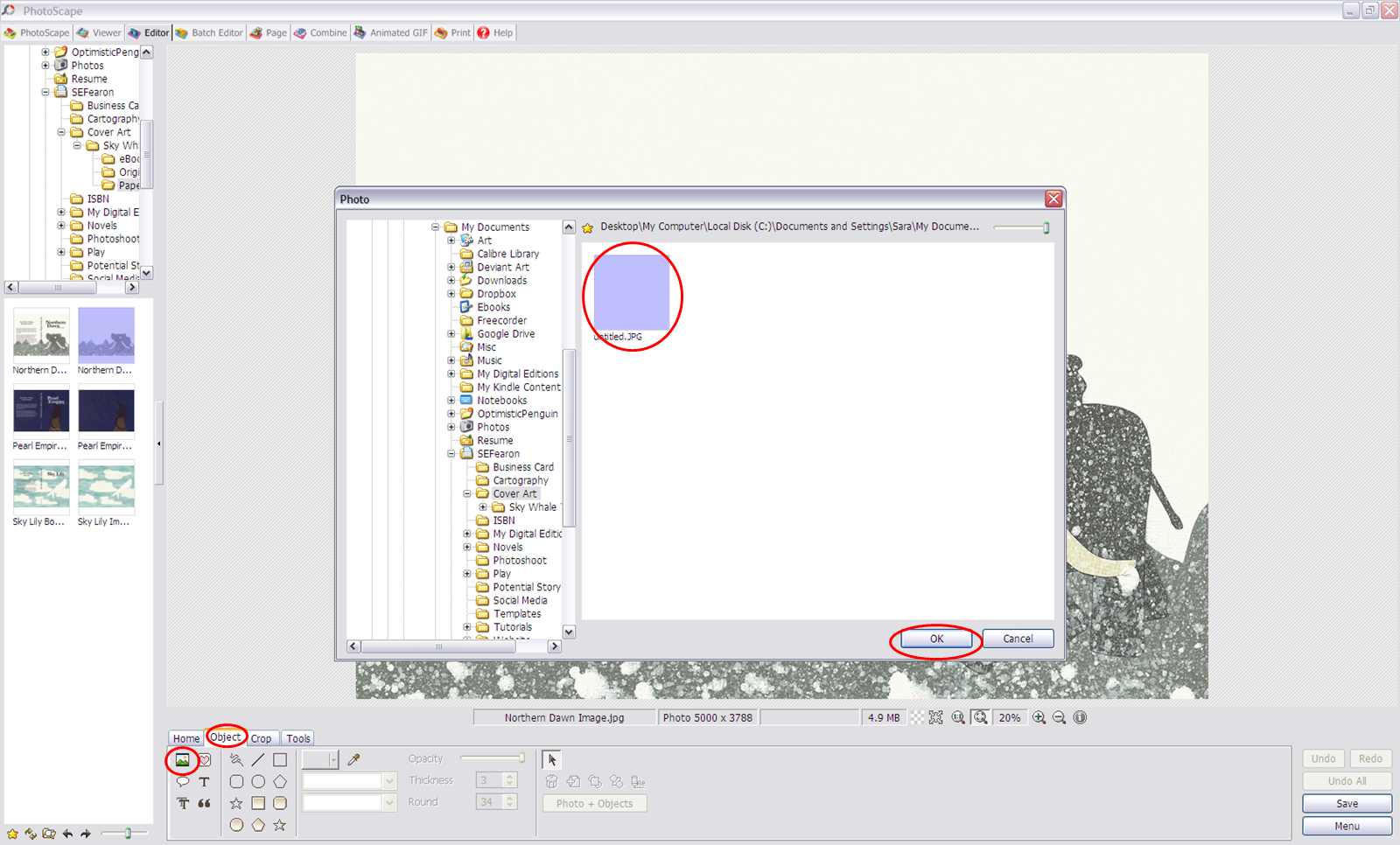 How to create a book cover using free photo editing software | S. E. Fearon