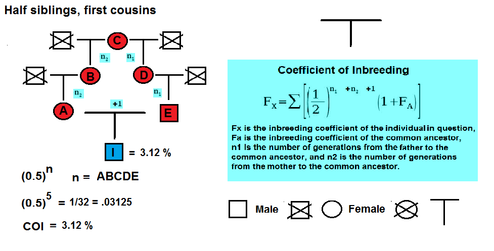Inbreeding Coefficient