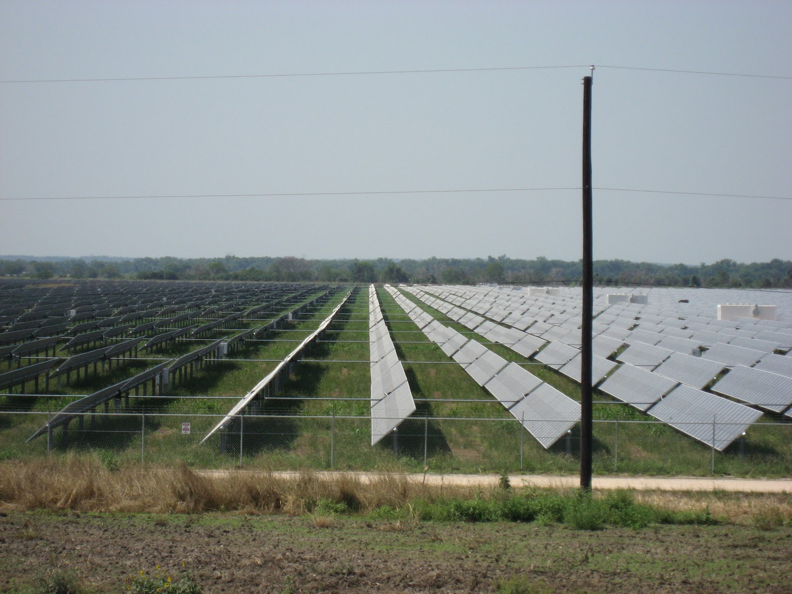 Green House, Good Life: July 2012