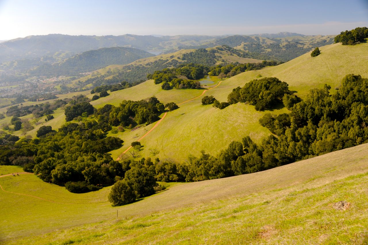 crazy little thing called blog: Mt Burdell Hike