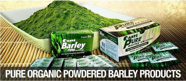 The Pure Barley Benefits: Facts About Barley