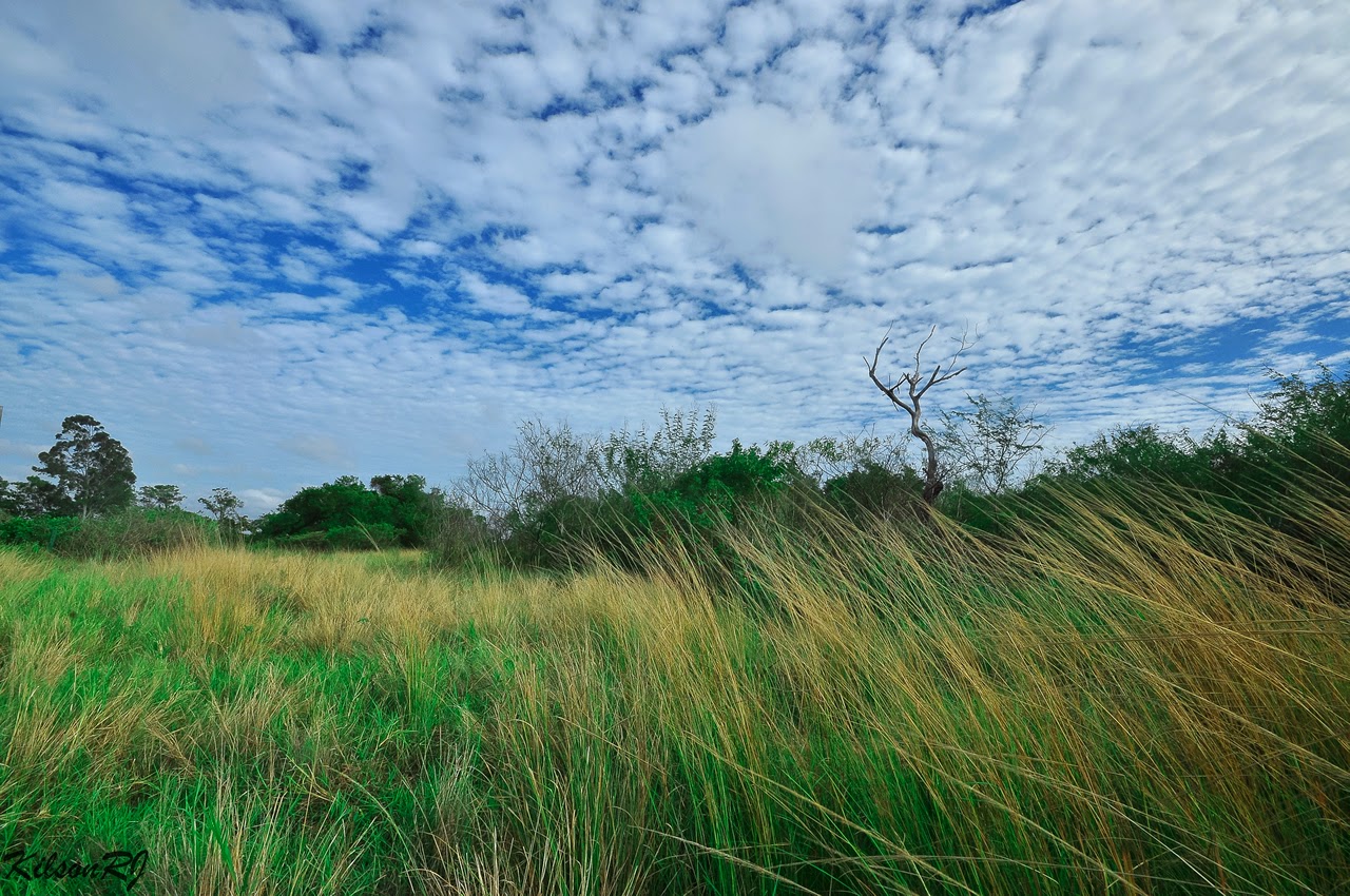 Iguabinha-Araruama-RJ-Paisagem - K2_Natureza