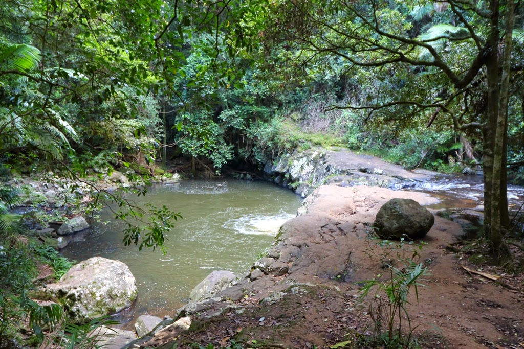 National Park Odyssey: Springbrook National Park: revisit in April 2015 ...