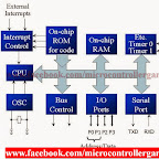 Clock circuit of 8051 Microcontroller Family