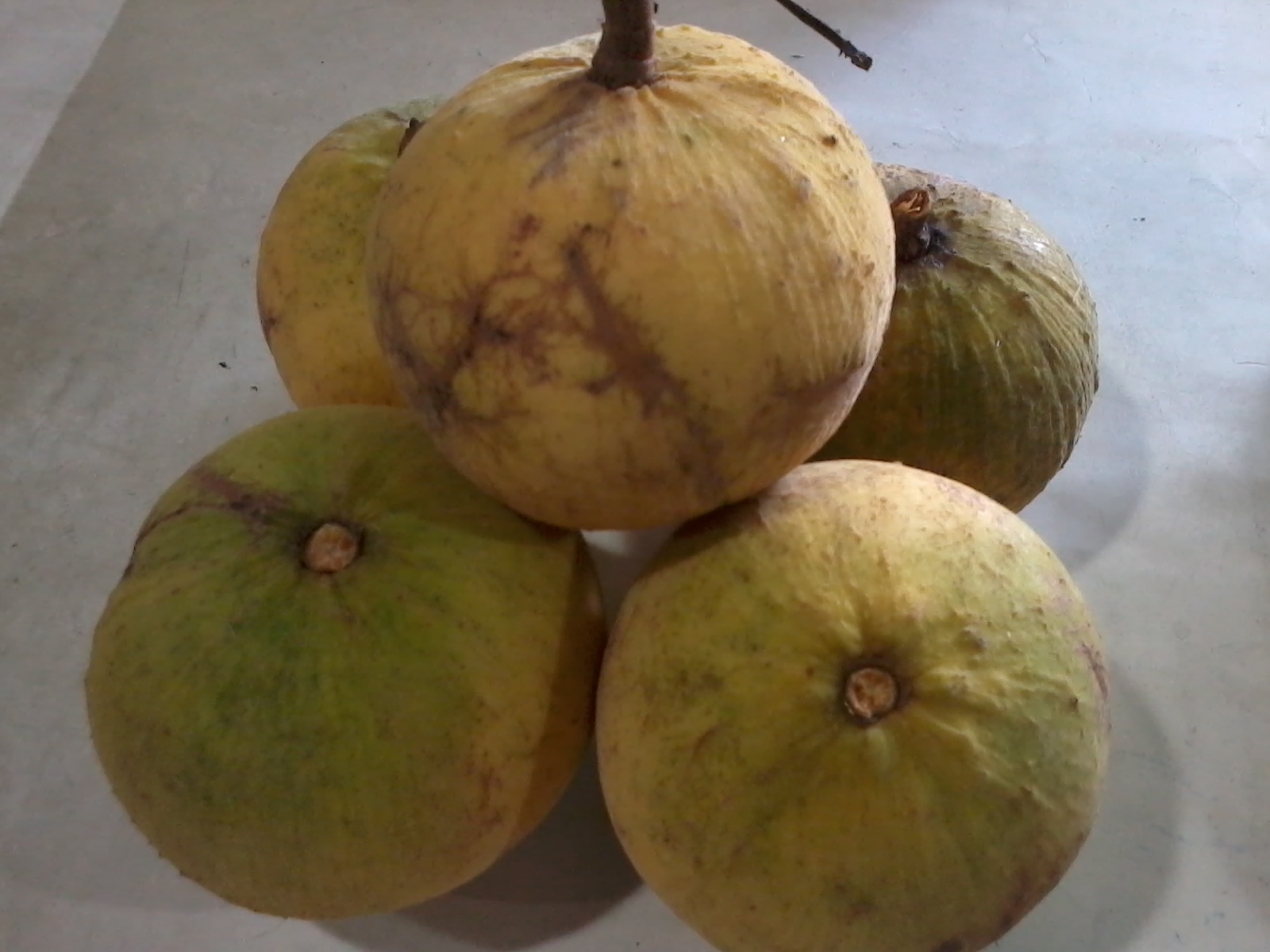 everything's herbed.....: WHB# 344 Sinantolan