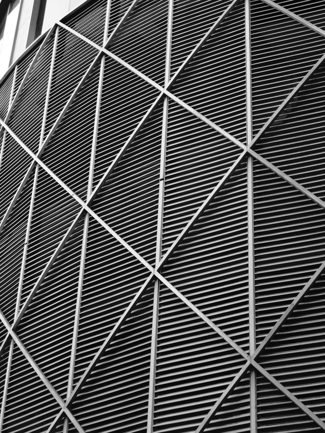 Color Outside the Lines: Book Review: Patternity - A New Way of Seeing