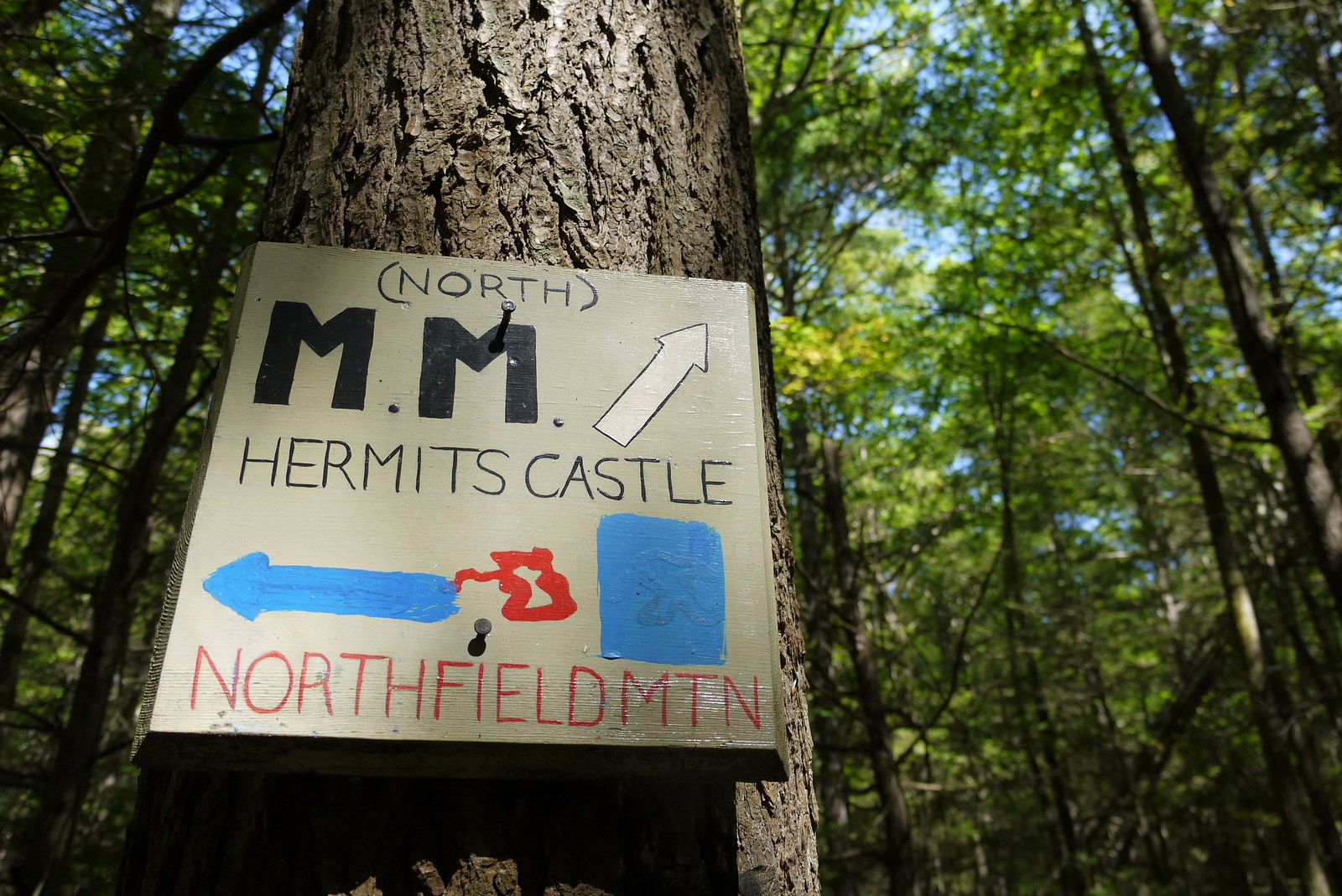 Along the NET-Cohos: MA NET Section 16: Hermit Mountain