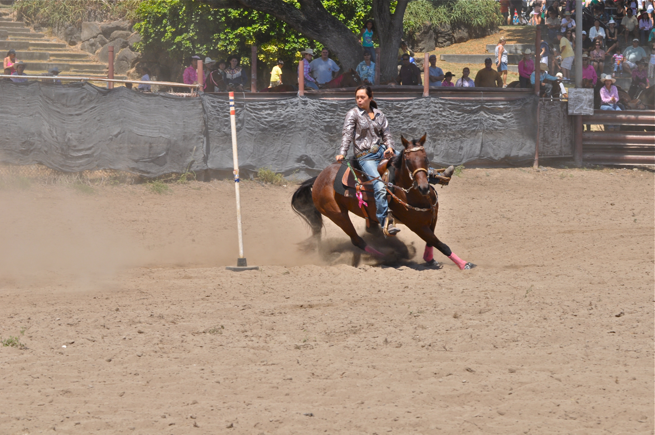 The Dragon's Eye: All Girl Rodeo at the Kualoa Ranch Ohana Country Fair