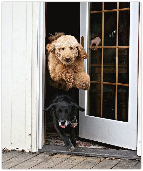 Feels like Flying...