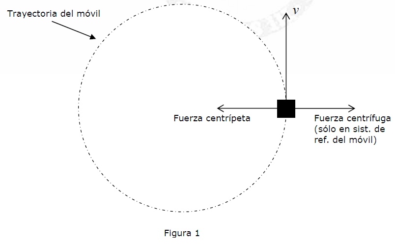 Fuerza Centrífuga | Fisica Paso a Paso