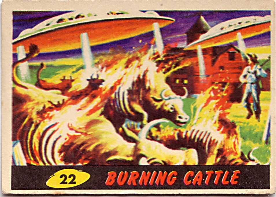 John Kenneth Muir's Reflections on Cult Movies and Classic TV: CULT ...