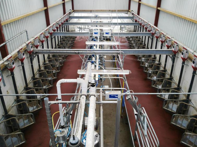 Your Dairy Experts: Modern Milk Parlor Designs