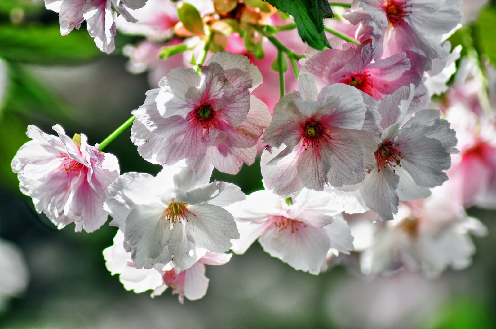 Torino In My eyes: April 2014