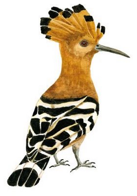 lecTIC TAC: de novembre 2012