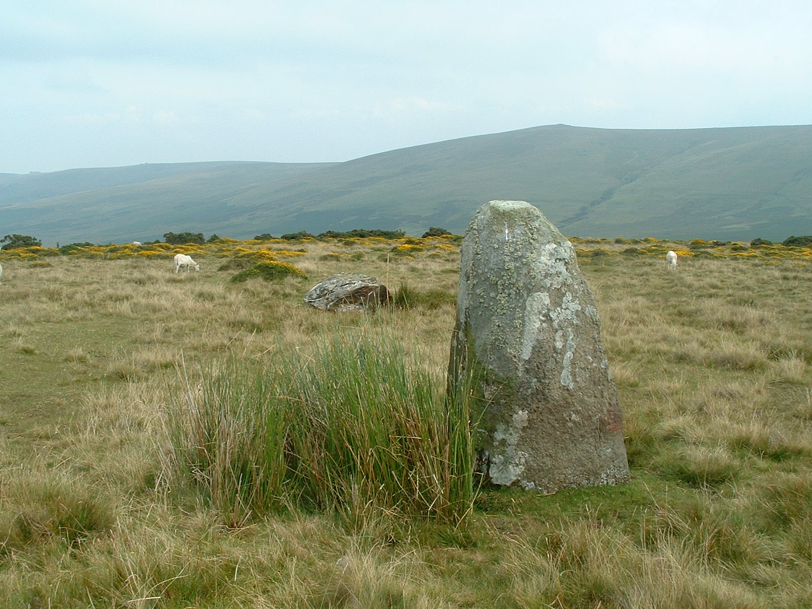 Stonehenge and the Ice Age: Preseli Hills summer 2011