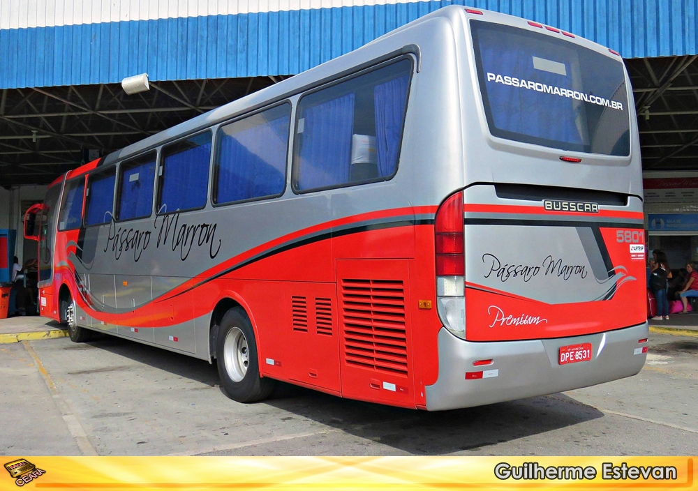 Pássaro Marron: Várias empresas dentro de uma grande companhia (1ª parte)