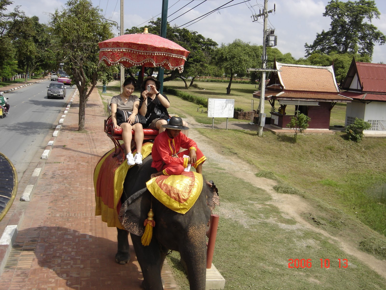 Beyond H2O and environment: Evolution: From mouse to elephant size, and ...