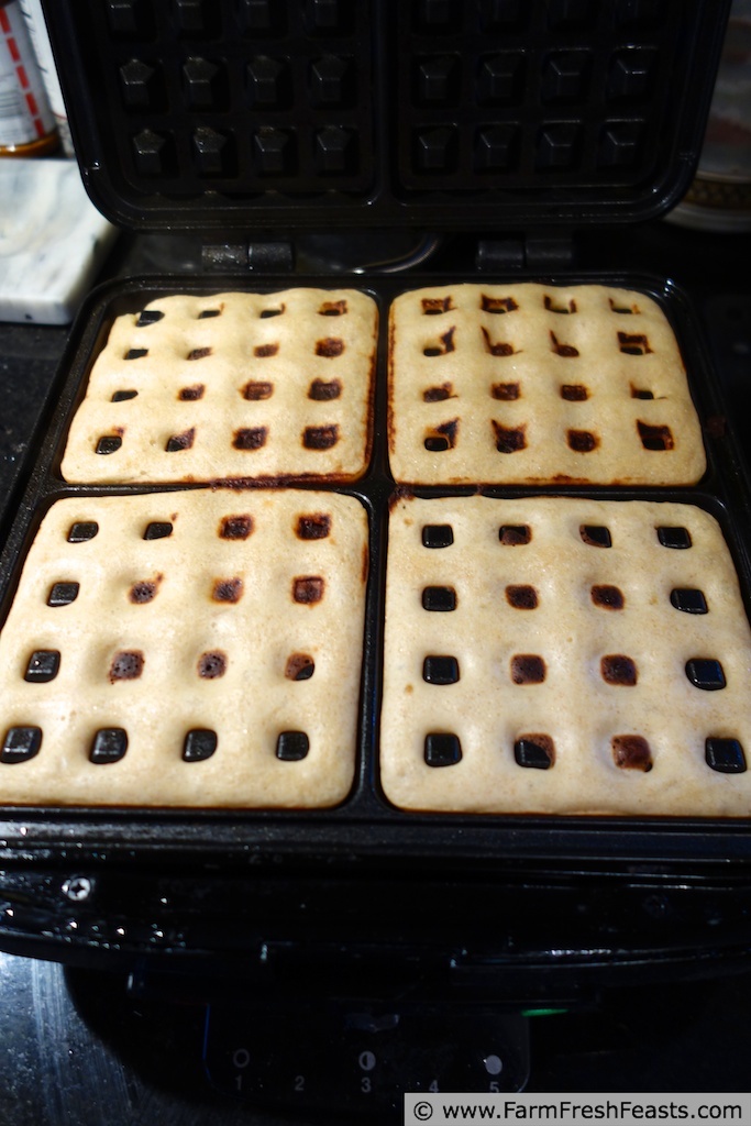 Farm Fresh Feasts: Sweet or Savory Yeasted Waffle Sandwiches