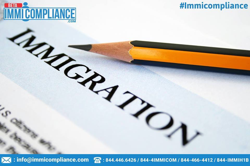 What Is Immigration Software And How Is It Useful?