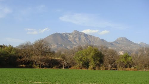 IMAGENES DE TASQUILLO HIDALGO
