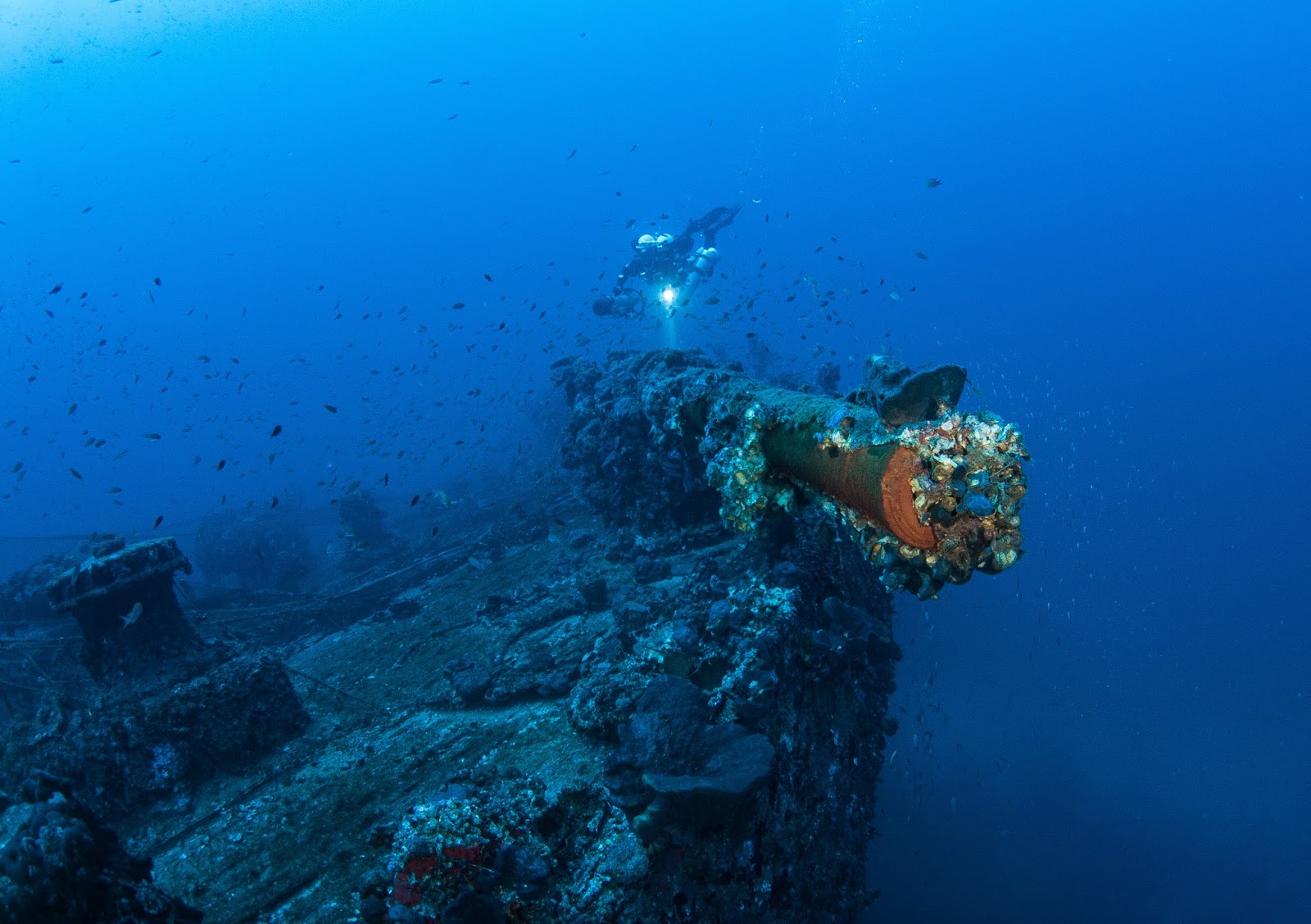 Burdigala: 100 years since the sinking of the second largest shipwreck ...