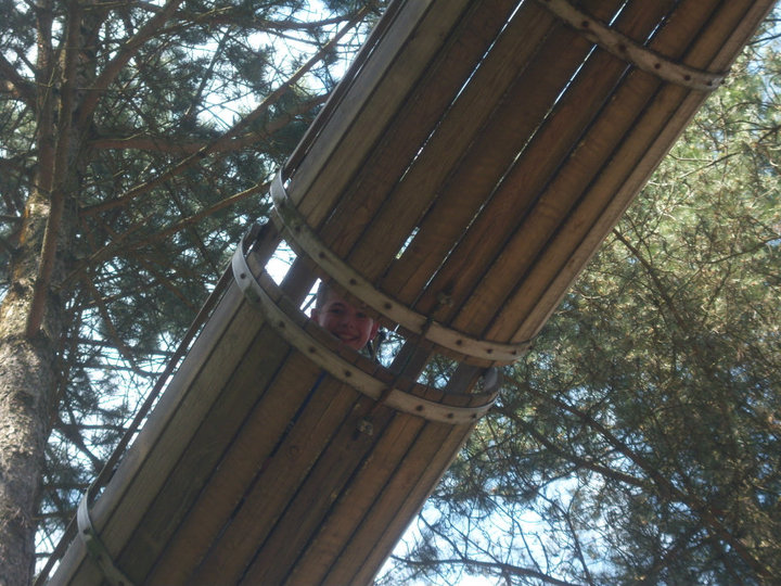 Monkey around at Go Ape - chelseamamma.co.uk