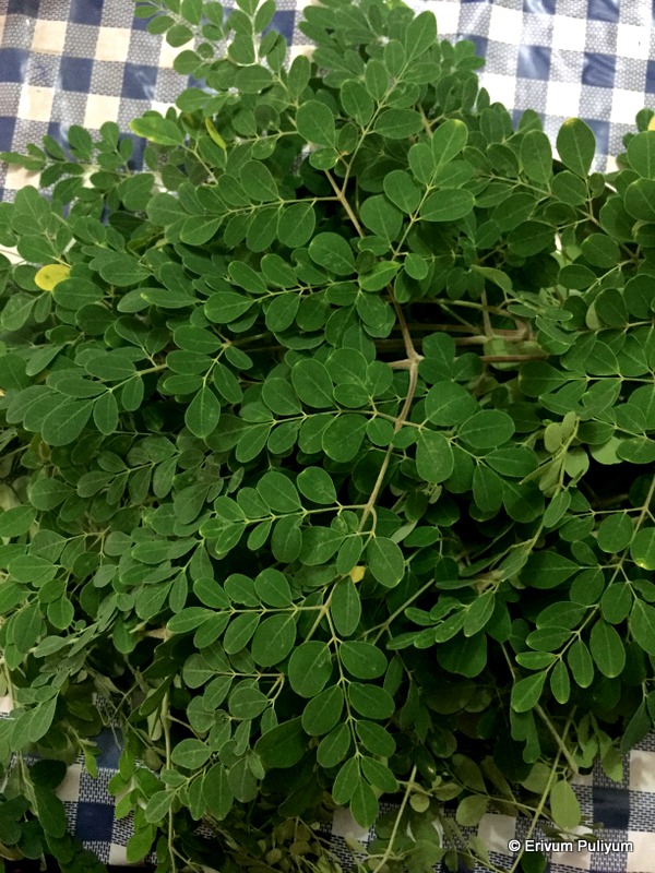 Erivum Puliyum: Muringayila Curry | Drumstick(Moringa) Leaves Curry ...