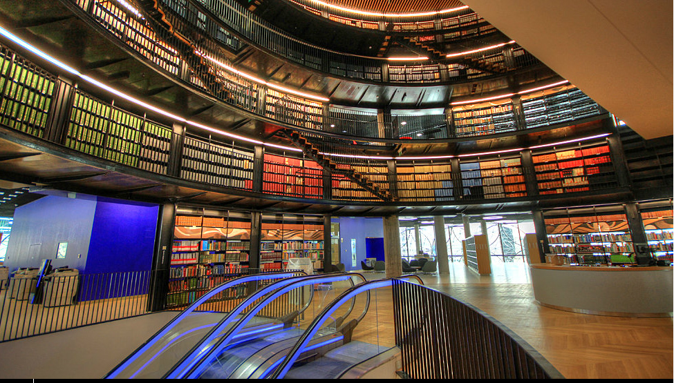 Murder is Everywhere: The £180 million library that couldn’t afford ...