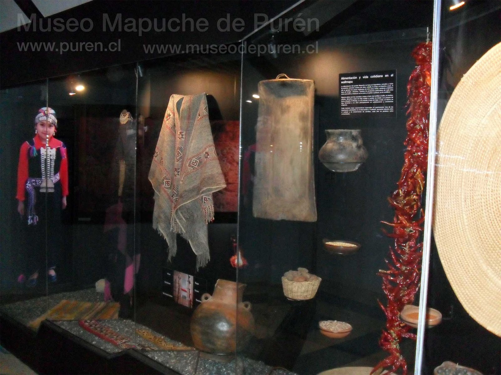 Museos de Purén: Museo Mapuche