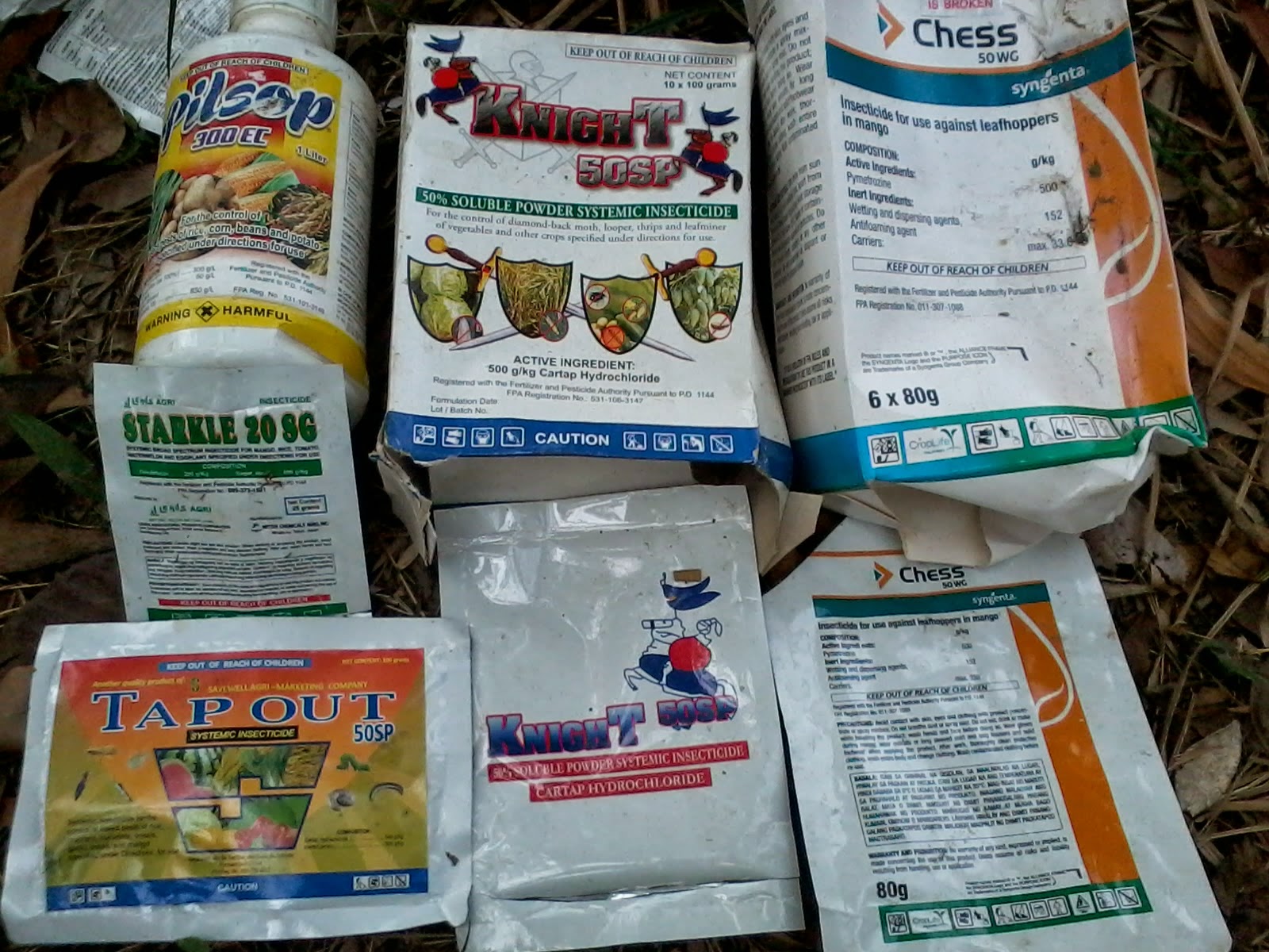 Sustainable Development: Kurikong Mangga or Cecid Fly, Huge Crop Losses