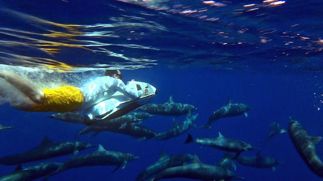 Sociales en línea: 29 may 2012