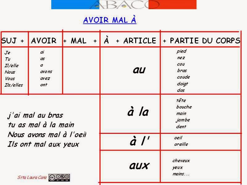 Notre classe de français: Les parties du corps