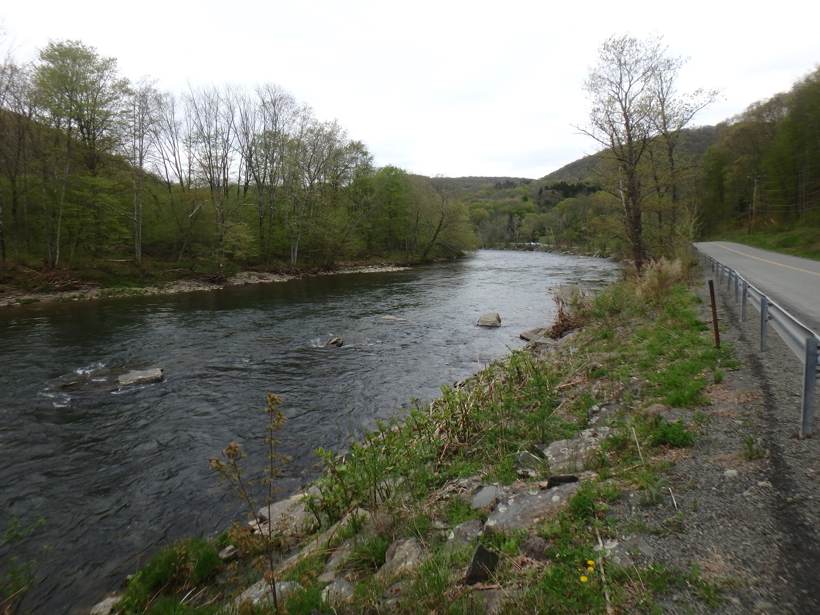 Amber Liquid Anglers and Sportsmen: The Beaverkill Pools