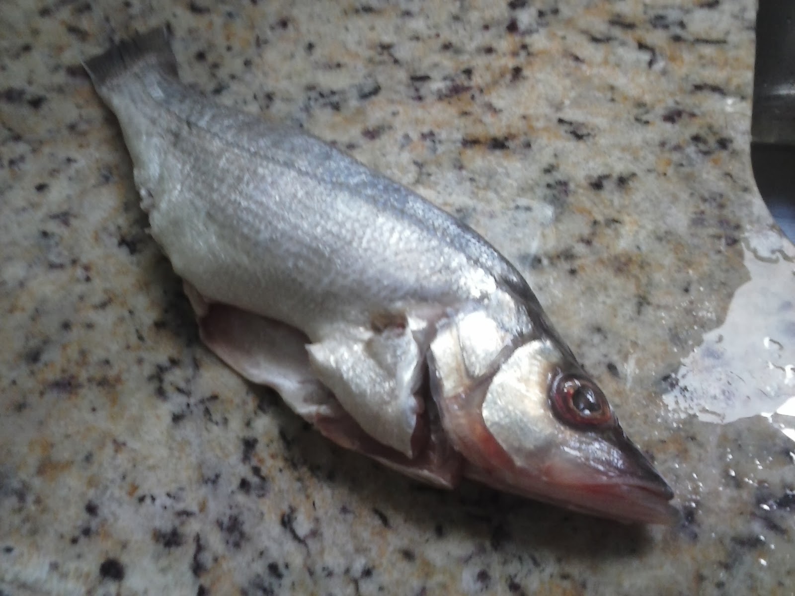 Baú da Nonna Antonieta - Brasil: Robalo Com Molho Diferente