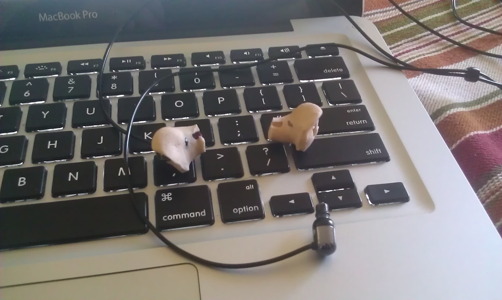 Blog Disclosure: DIY Custom Fit IEM's