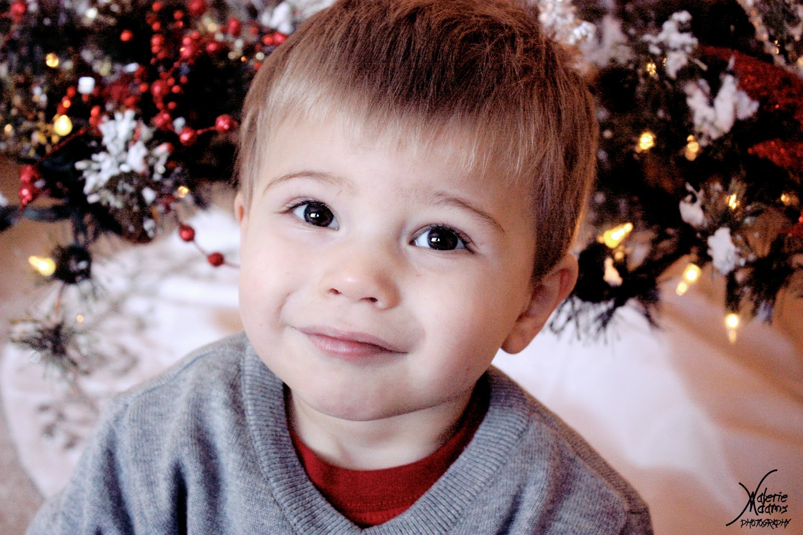 Valerie Adams Photography: Kitson Family - Christmas Cards