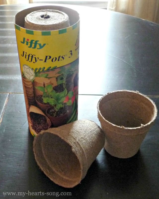 Peat Pot Autumn Favors ...