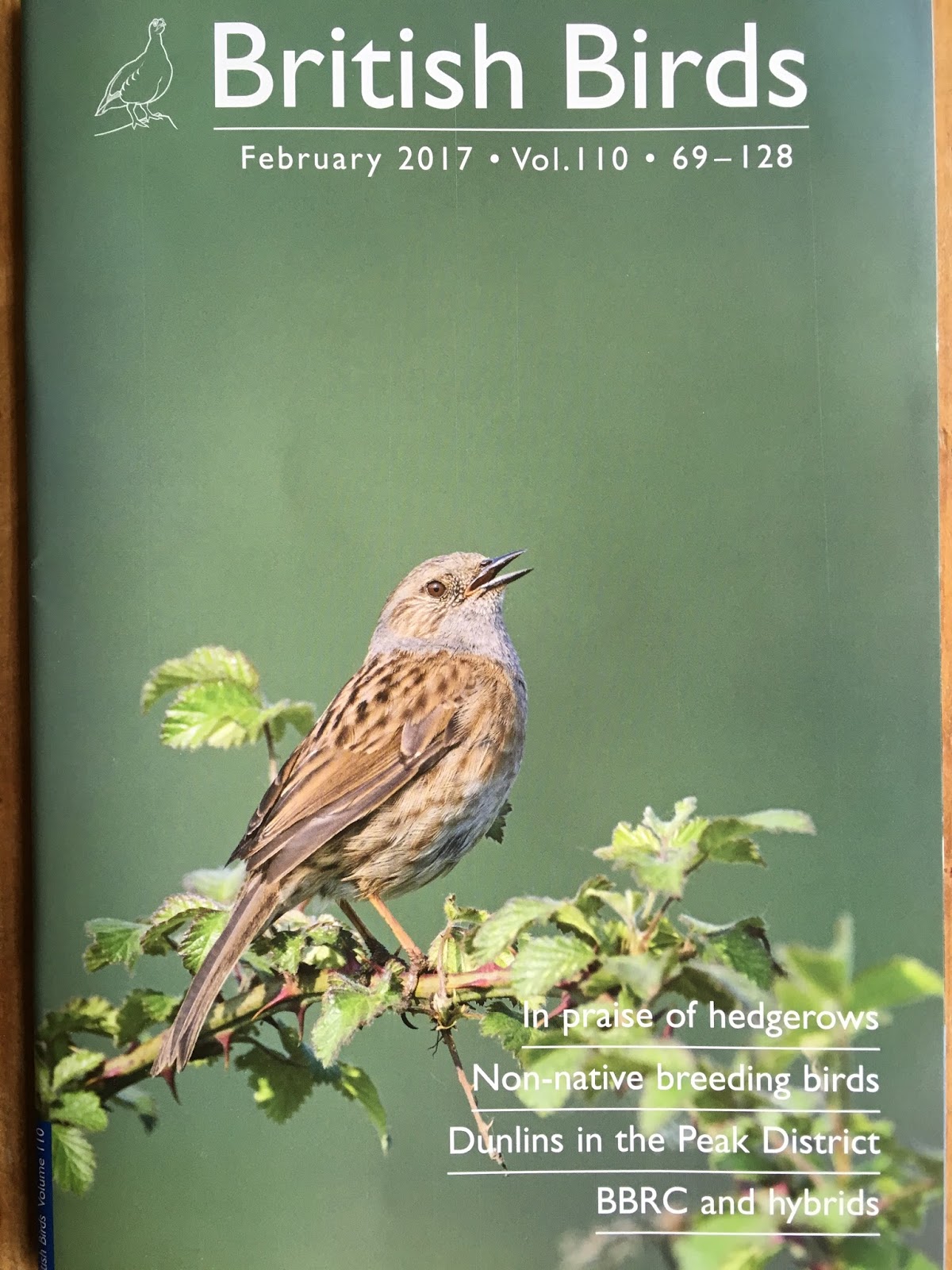 Borderlands Birding... and beyond: British Birds Magazine once again ...