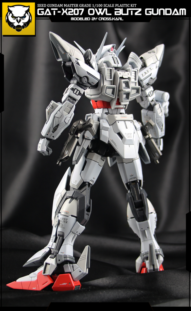 Custom Build: MG 1/100 "Owl" Blitz Gundam